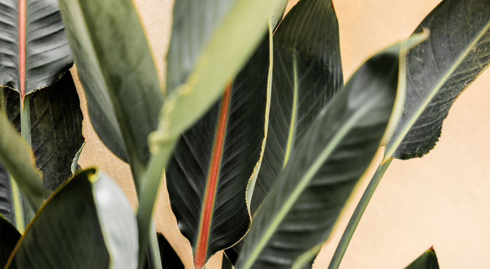 roberto lazzeroni's meridies for expormim to be unveiled at salone del mobile milano 2025 | Expormim